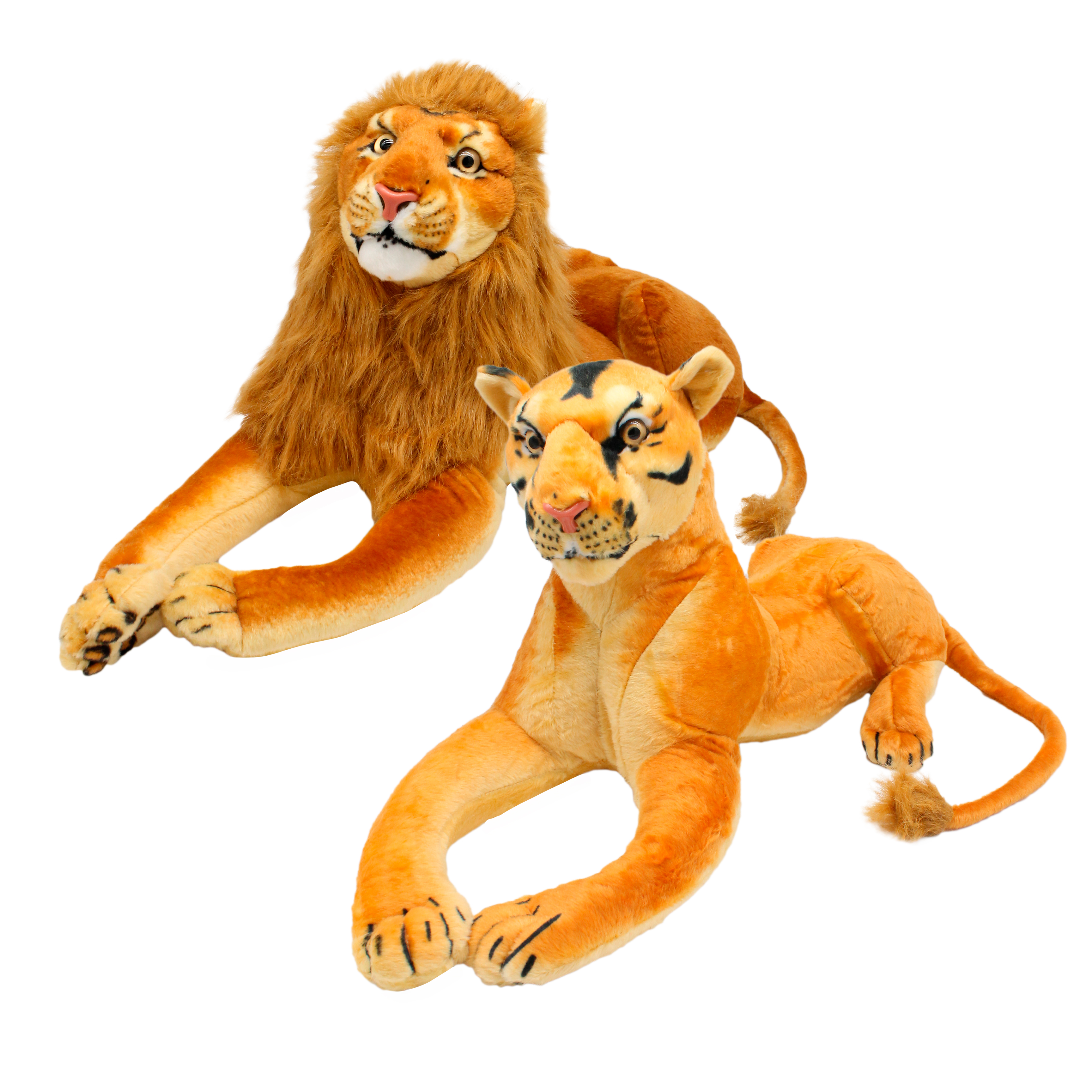 LEÓN Y LEONA